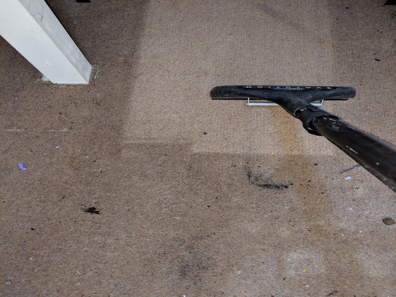 Maintaining Your Carpets: The Professional Guide | Kleen-Tech